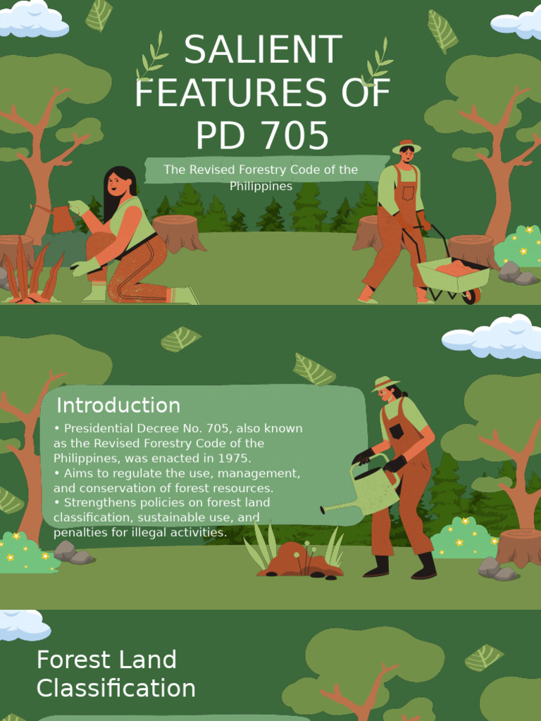 Overview of PD 705: Forestry Code | PDF | Logging | Forests
