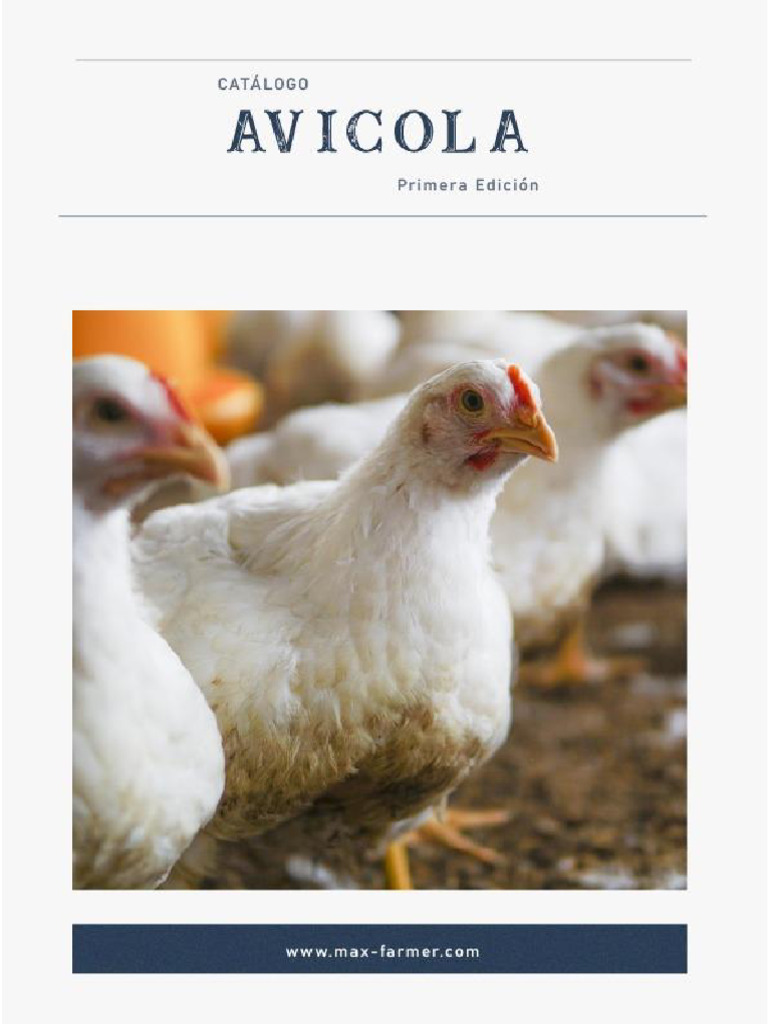 Catalogo Actualizado 2024 PV2 COMPLETO Final-5 | PDF | Termómetro | Temperatura