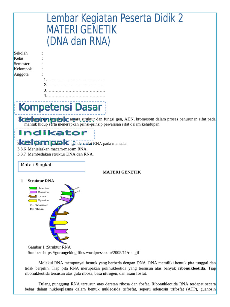LKPD 2-RNA | PDF