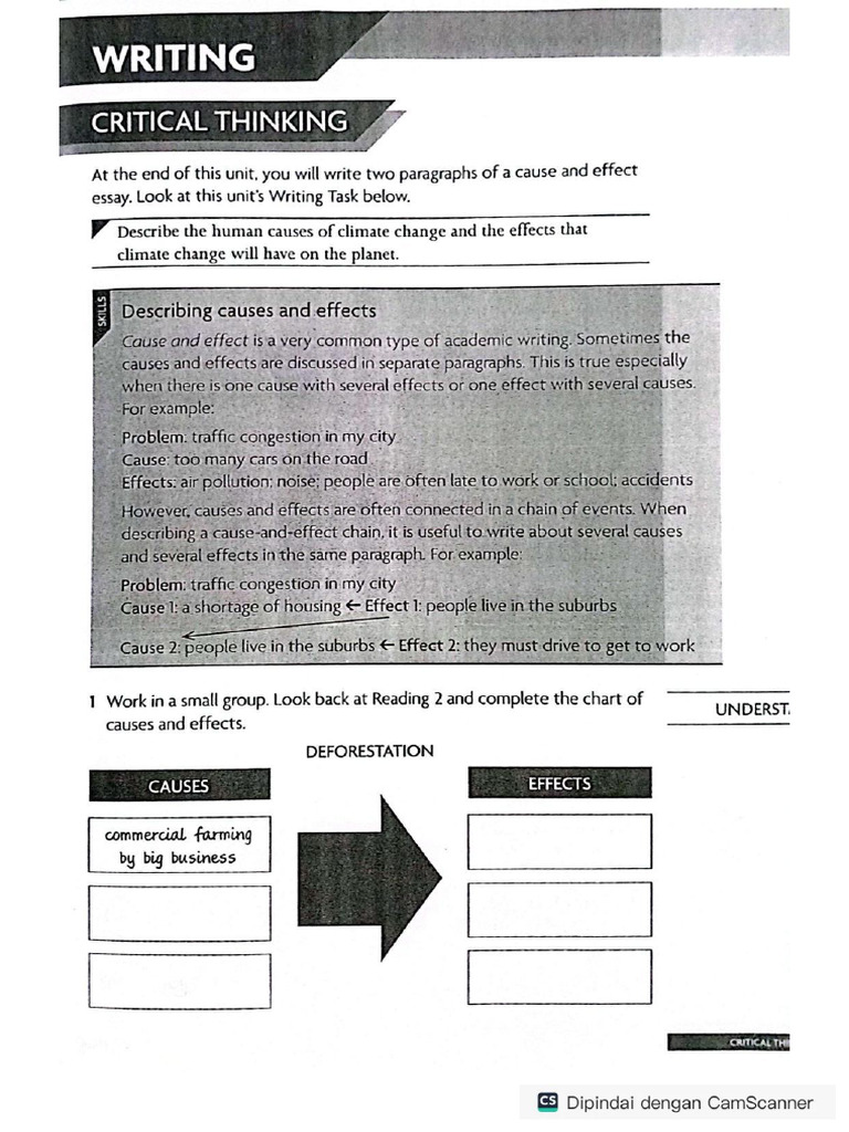 Cause Effect Essay Writing Min | PDF