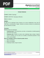 16 - CORTES Gradas - Rampas - Esc. Gráfica | PDF