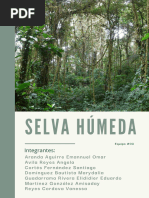 Características de la Selva Húmeda en México | PDF | Selva | Entorno ...
