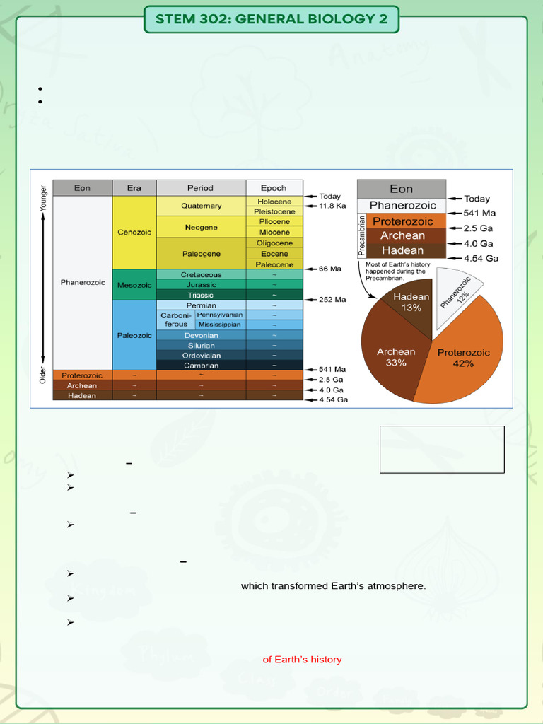 History of Life On Earth | PDF | Geology | Nature