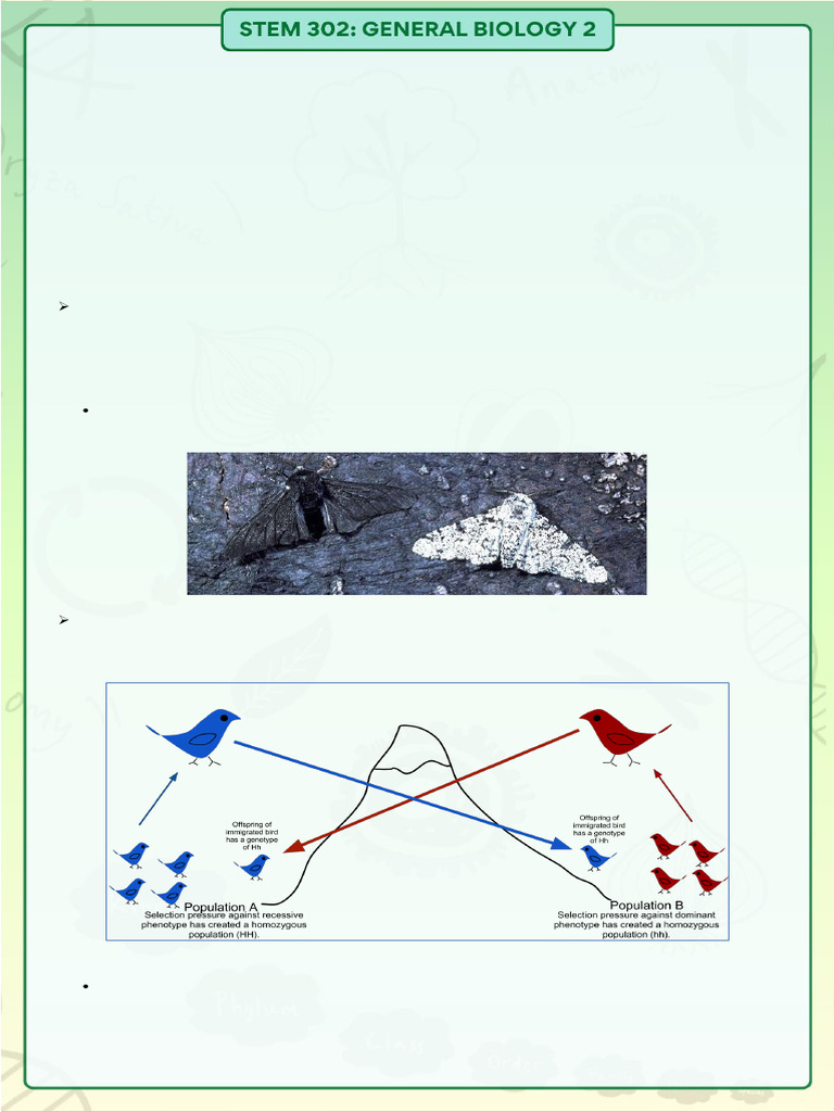 Micro-Macro Evolution Mechanisms | PDF | Inbreeding | Evolution