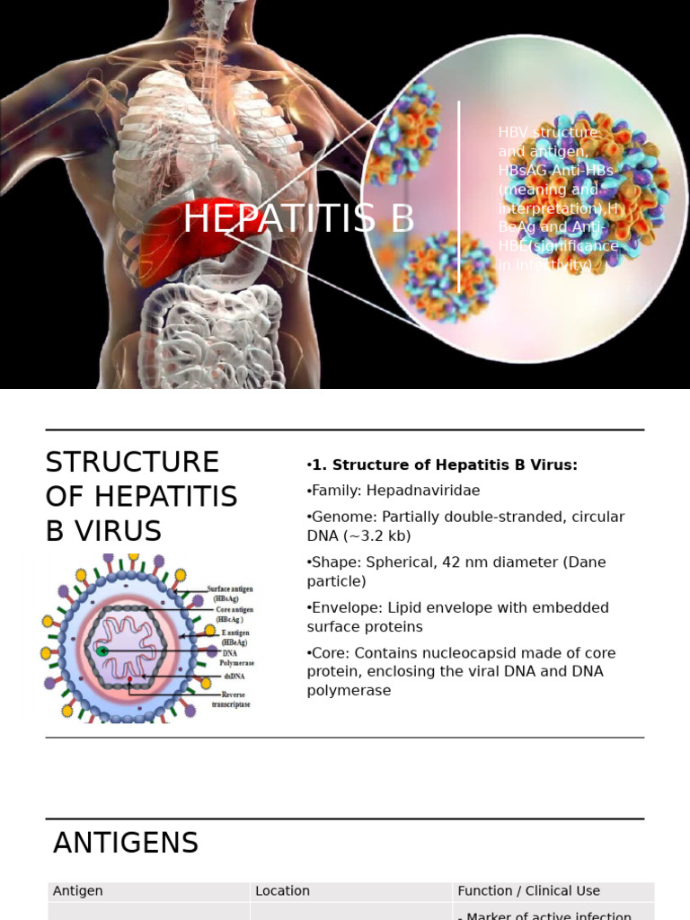 Hepatitis B | PDF | Hepatitis B | Virus