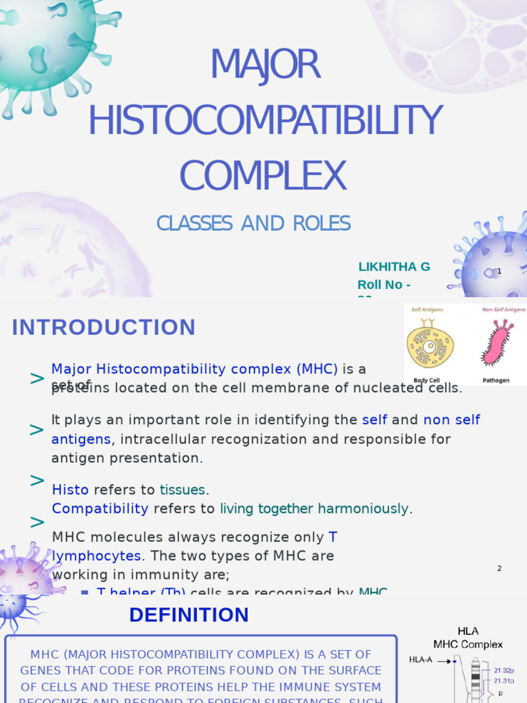 Major Histocompatibility Complex | PDF | Major Histocompatibility Complex | T Cell