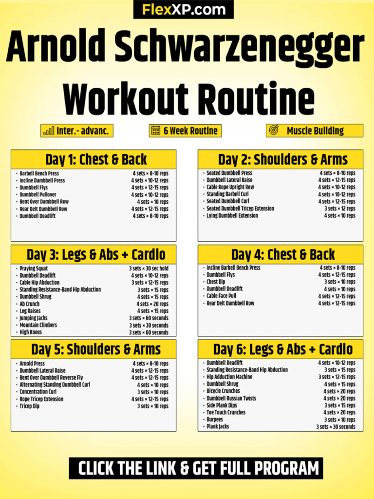 Arnold Schwarzenegger Workout Routine | PDF