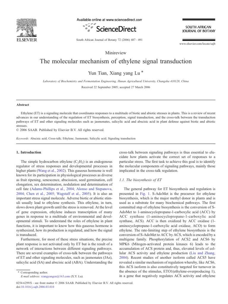 Ethylene As A Signaling Molecule | PDF | Cell Signaling | Signal ...