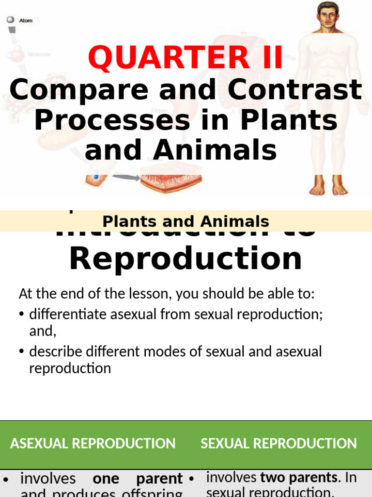 Introduction To Reproduction | PDF | Sexual Reproduction | Reproduction