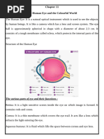 NCERT Books For Class 10 Science Chapter 11 Human Eye and Colorful World | PDF | Rainbow | Eye