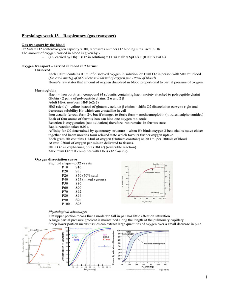Microsoft Word - Physiology Week 13 - Respiratory - Gas Transport | PDF ...