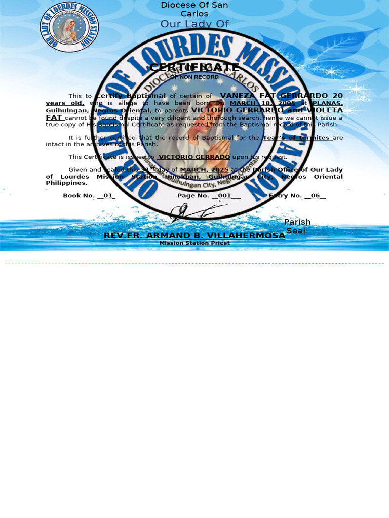 Certificate of Non Record | PDF
