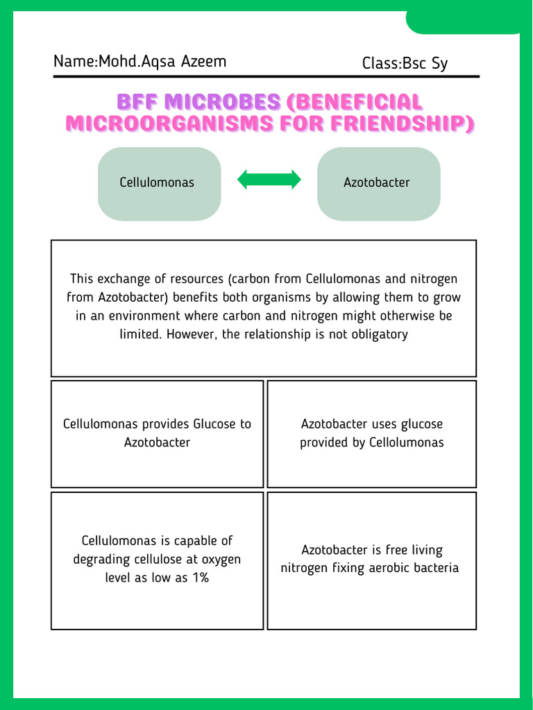 Plant and Animal Cells Biology Worksheet in a White Green Simple Style ...