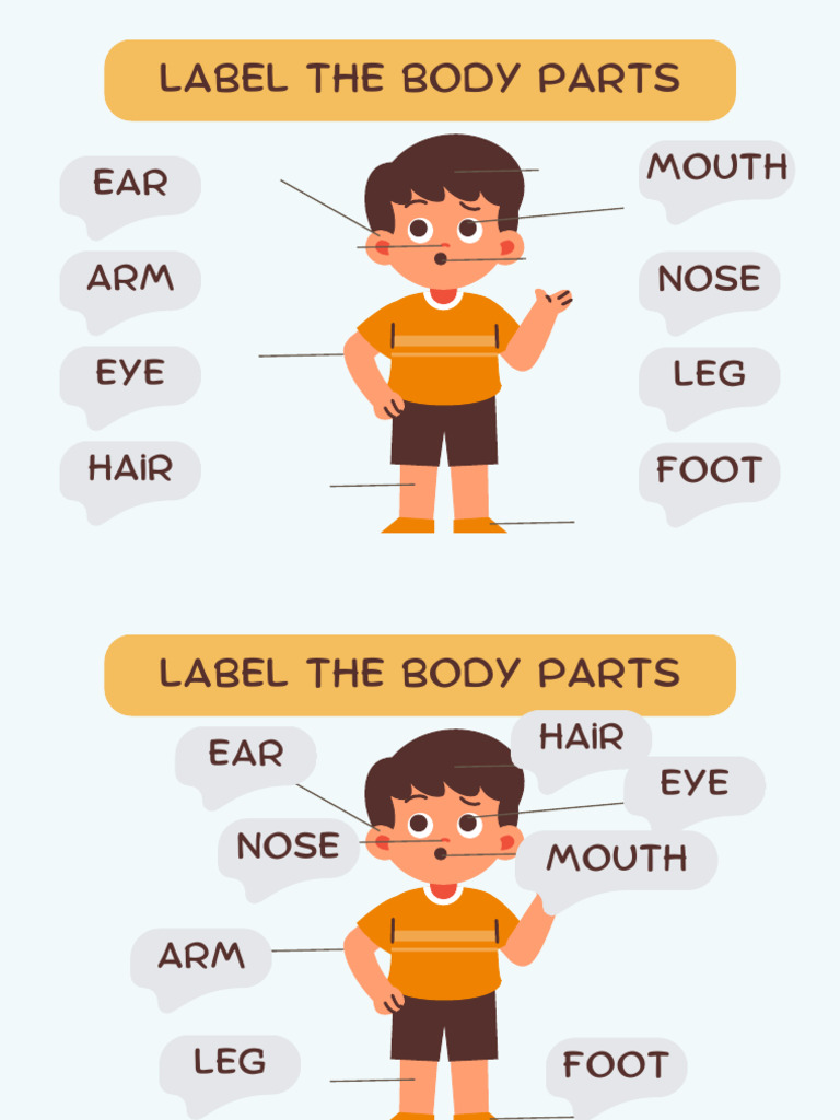 English Body Parts Labeling Digital Worksheet in Colorful Cartoon Style ...