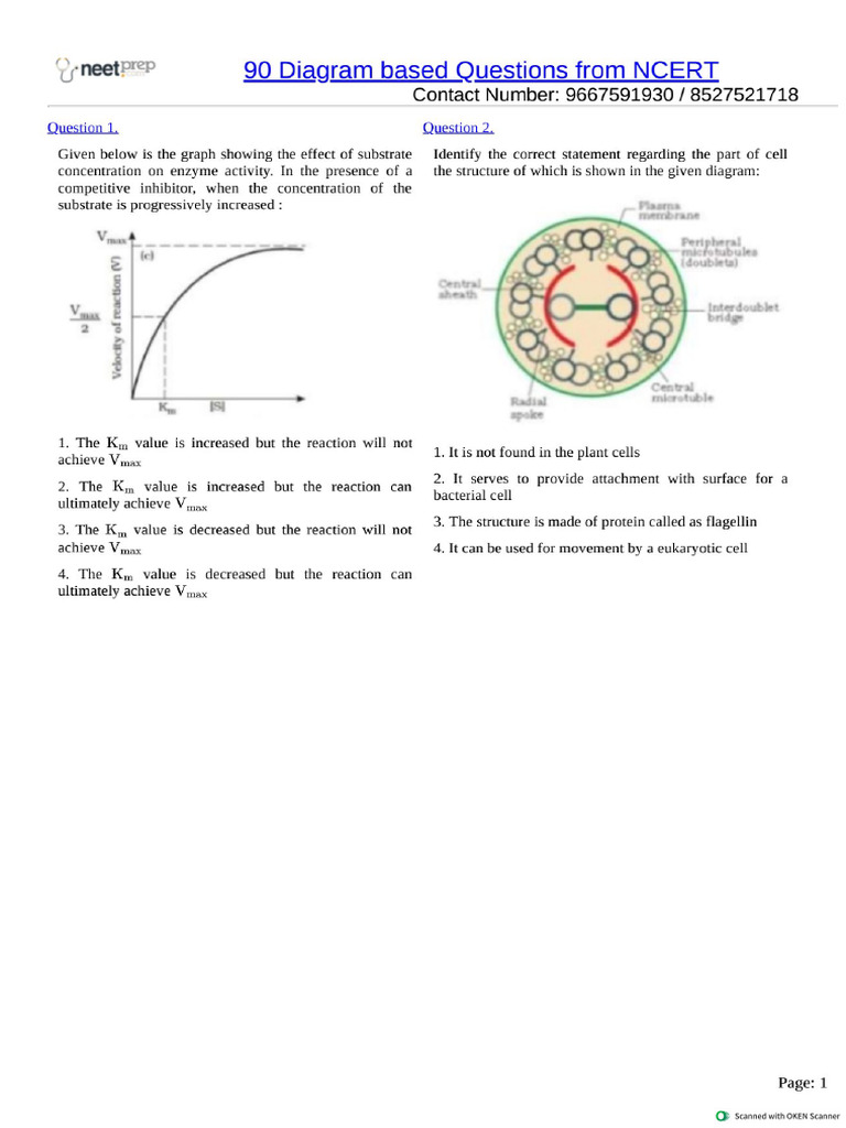 90 Diagram Based Questions From NCERT | PDF