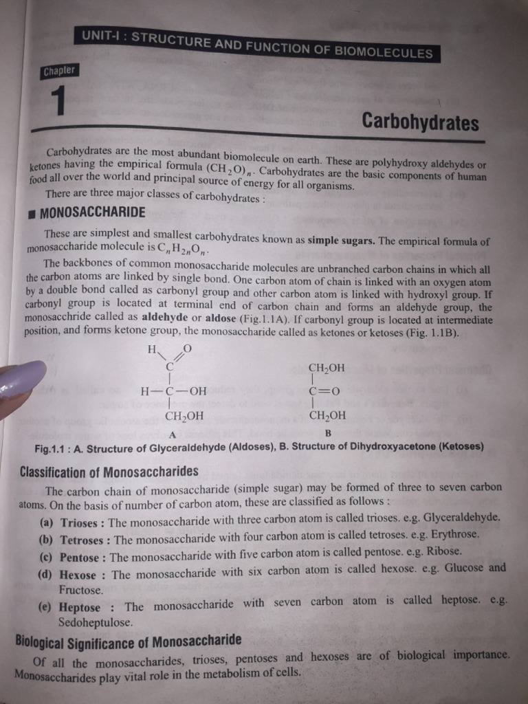 UNIT-1 Structure and Function of Biomolecules | PDF