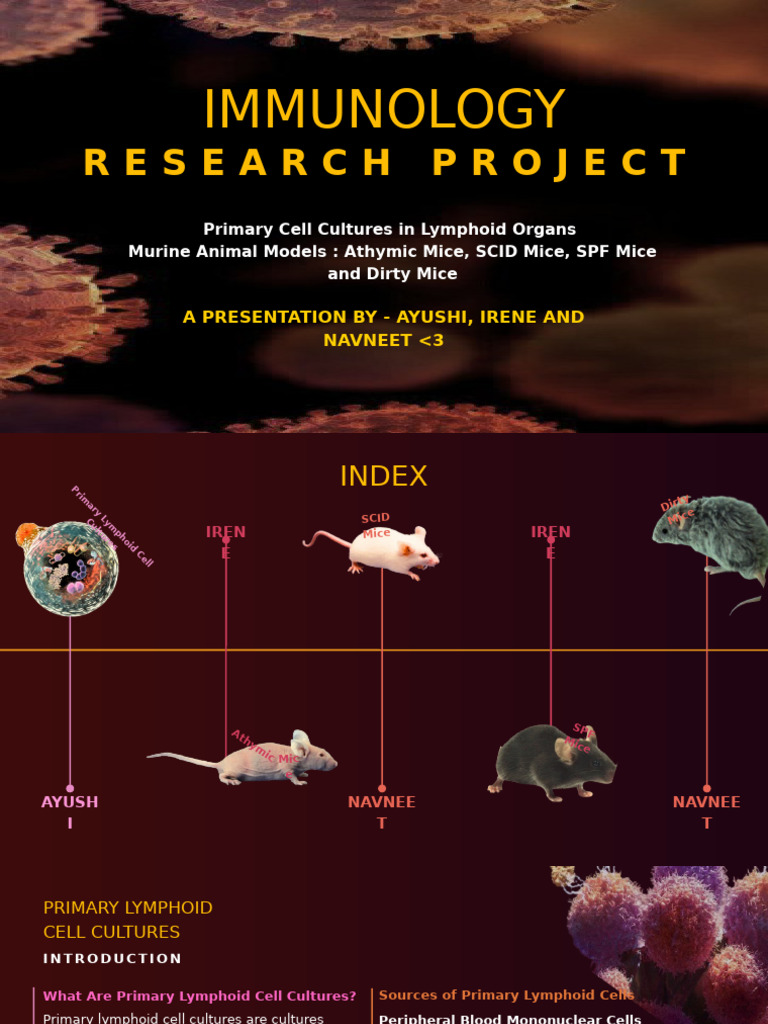Primary Cell Cultures in Immunology Research | PDF | Biology | Cell Biology