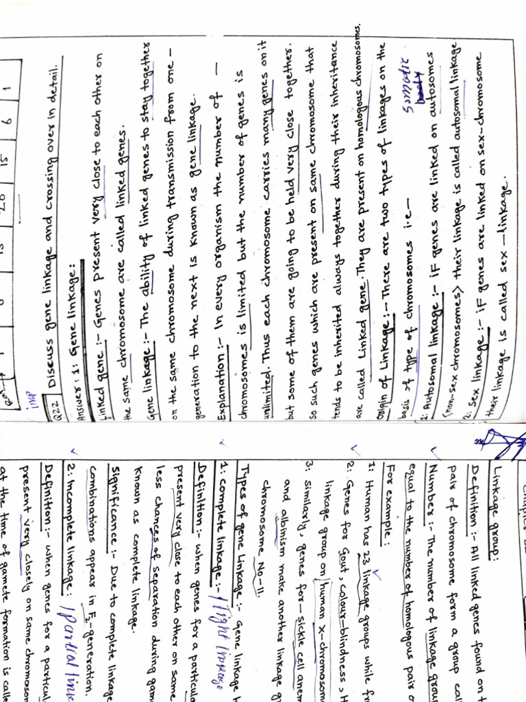 PDFReader 20250501 1228 | PDF