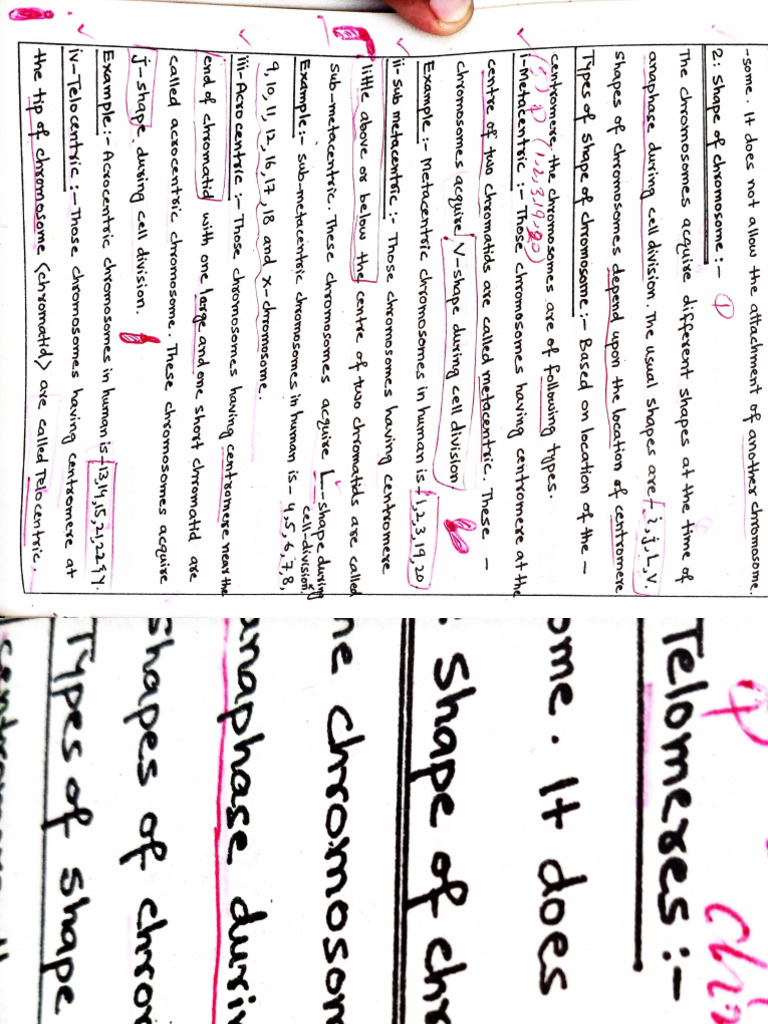 PDFReader - 20250501 - 1227 DNA | PDF