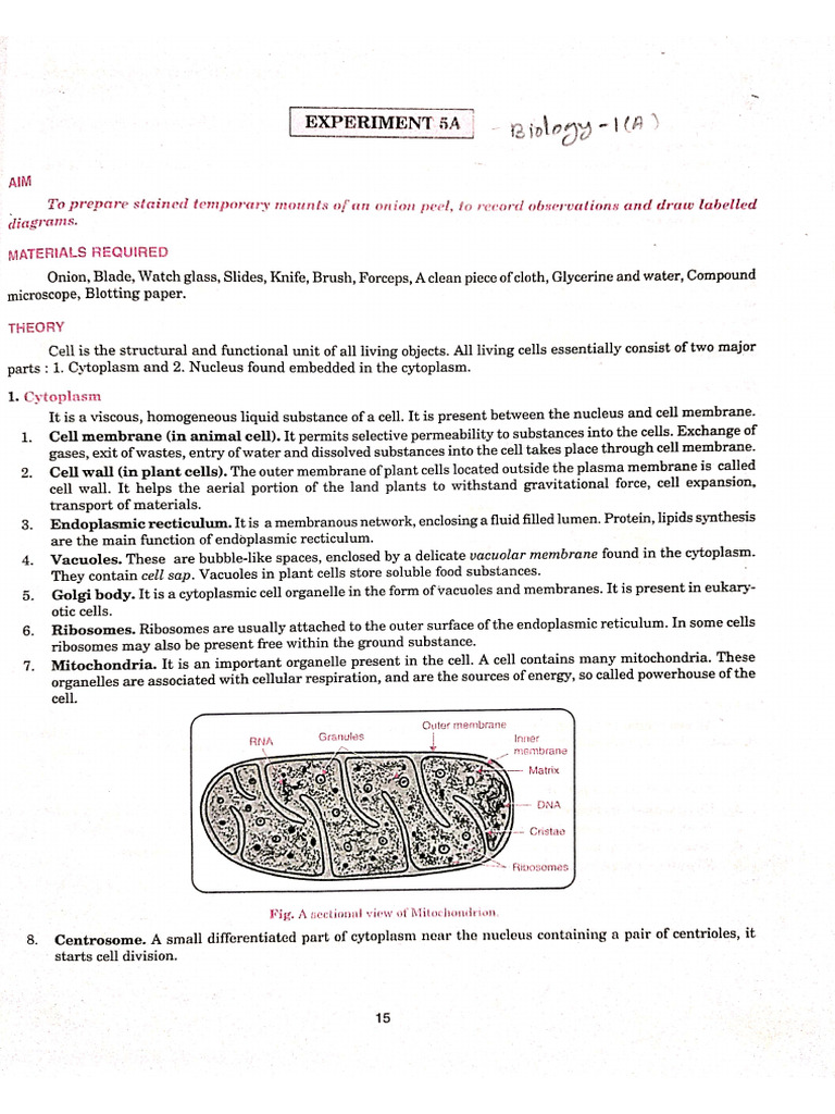 BIOLOGY EXPERIMENT - 1 (A), 1 (B), 2 (A) AND 2 (B) . | PDF