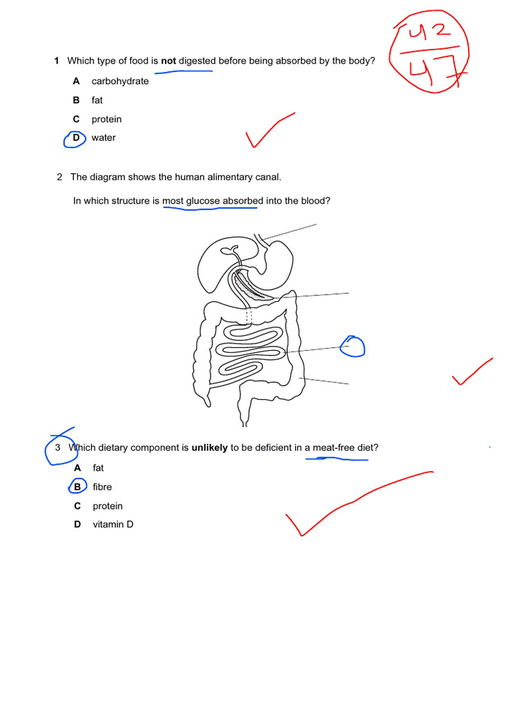 Human Nutrition (Multiple Choice) QP | PDF | Digestion ...