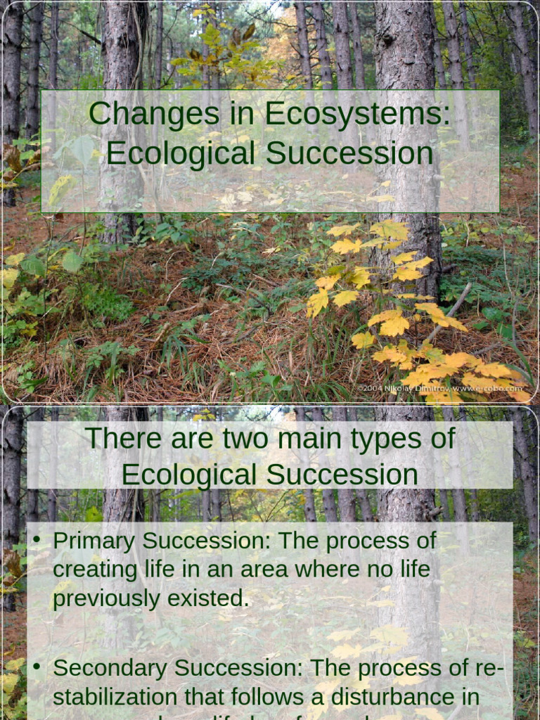 Ecological Succession PPT | PDF | Soil | Ecosystem