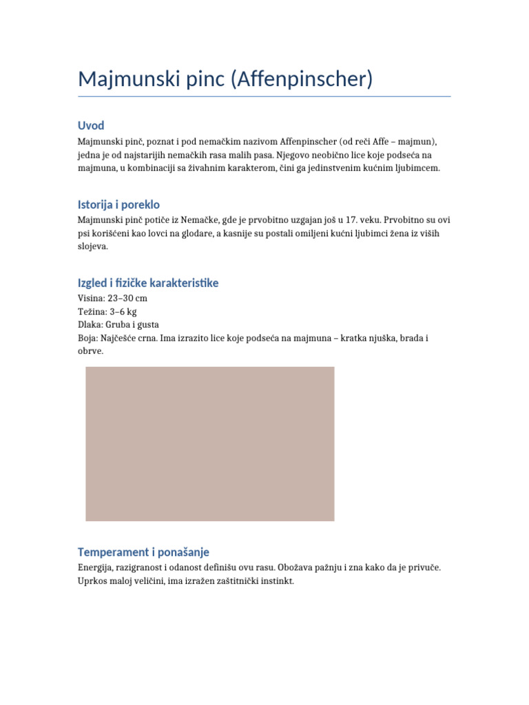 Majmunski Pinc Informativni Vodic | PDF