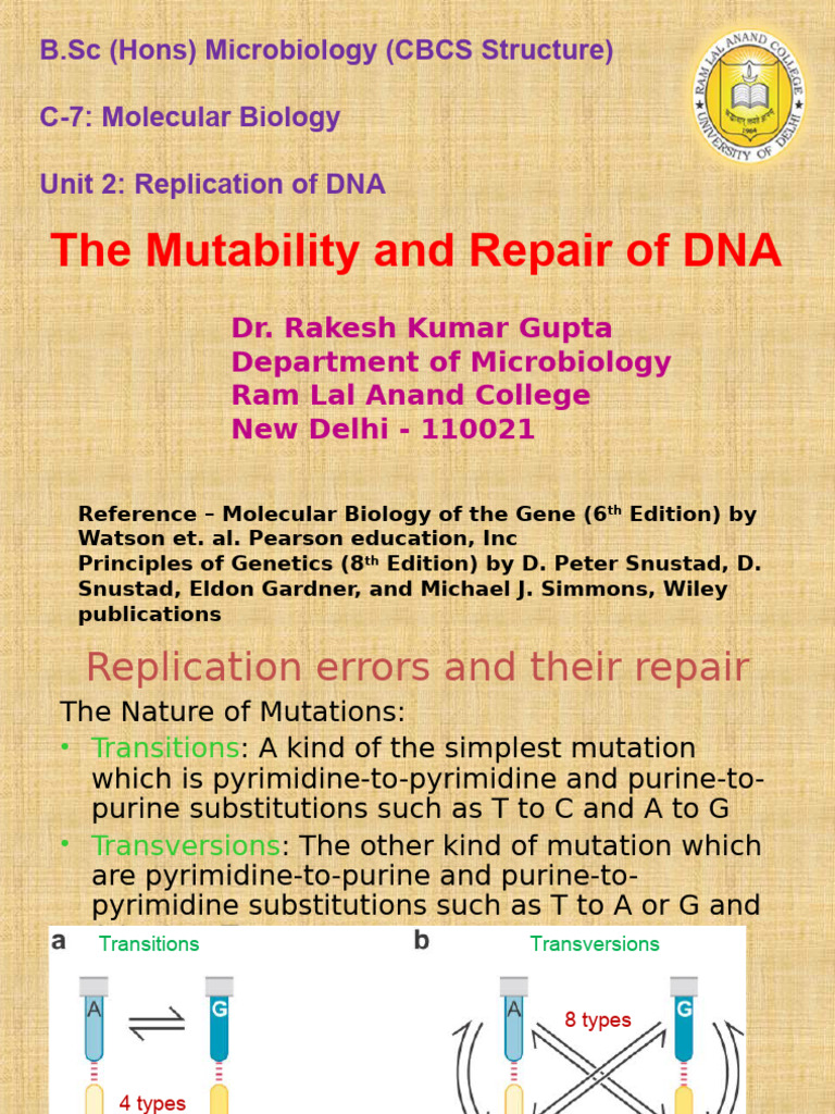 DNA Damage and Repair Unit - 2 Lecture-4 RKG | PDF | Mutation | Point Mutation