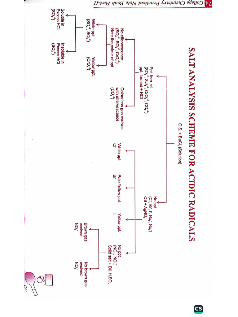 Salt Analysis Scheme | PDF