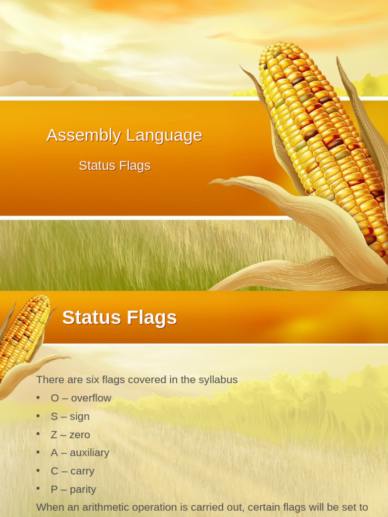 Al - Status Flags | PDF | Computer Science | Theory Of Computation