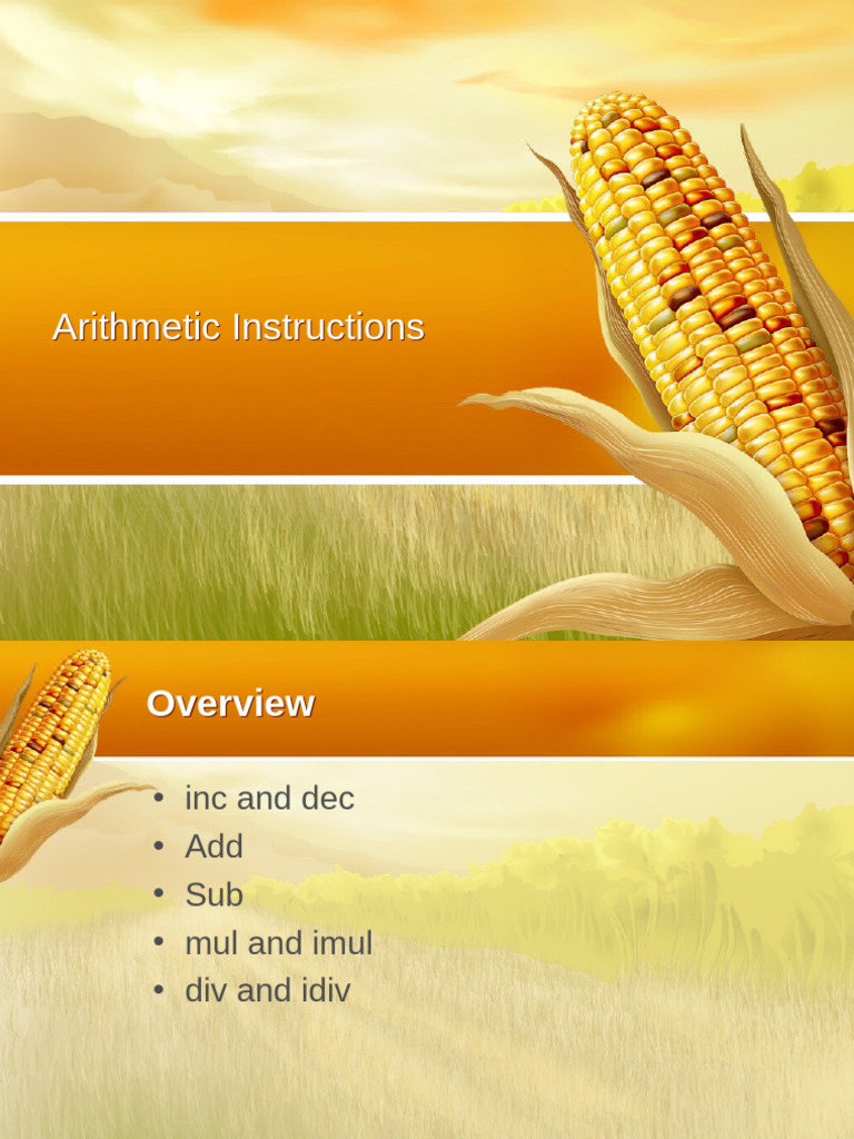 04. Al - Arithmetic Instructions | PDF | Division (Mathematics) | Computer Architecture