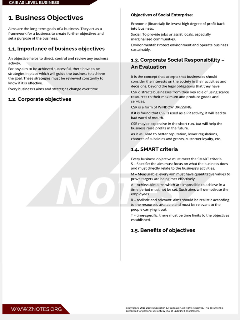 CAIE-AS Level-Business - Theory | PDF