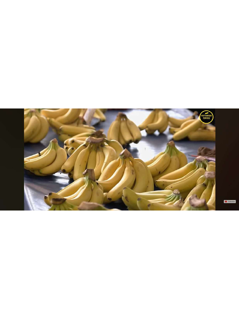 Bananas | PDF