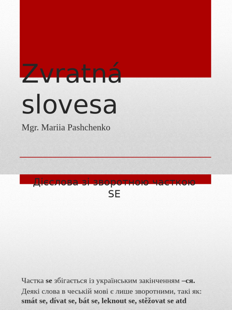 zvratná slovesa | PDF