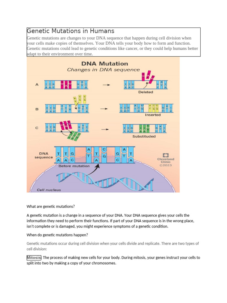 Genetic Mutations in Humans | PDF | Genetic Disorder | Genetics