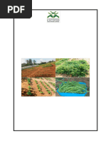 Calmativa Comprimidos | PDF | Vitamina | Cálcio