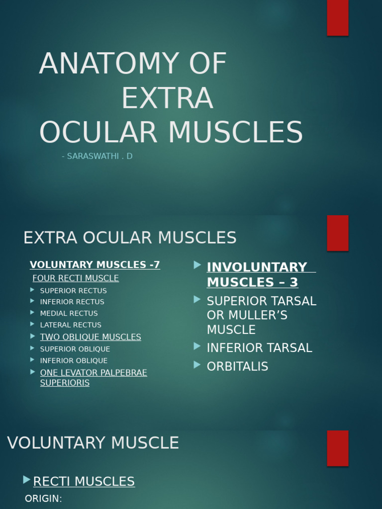 Extra occuLAR MUSCLE | PDF | Soft Tissue | Human Anatomy