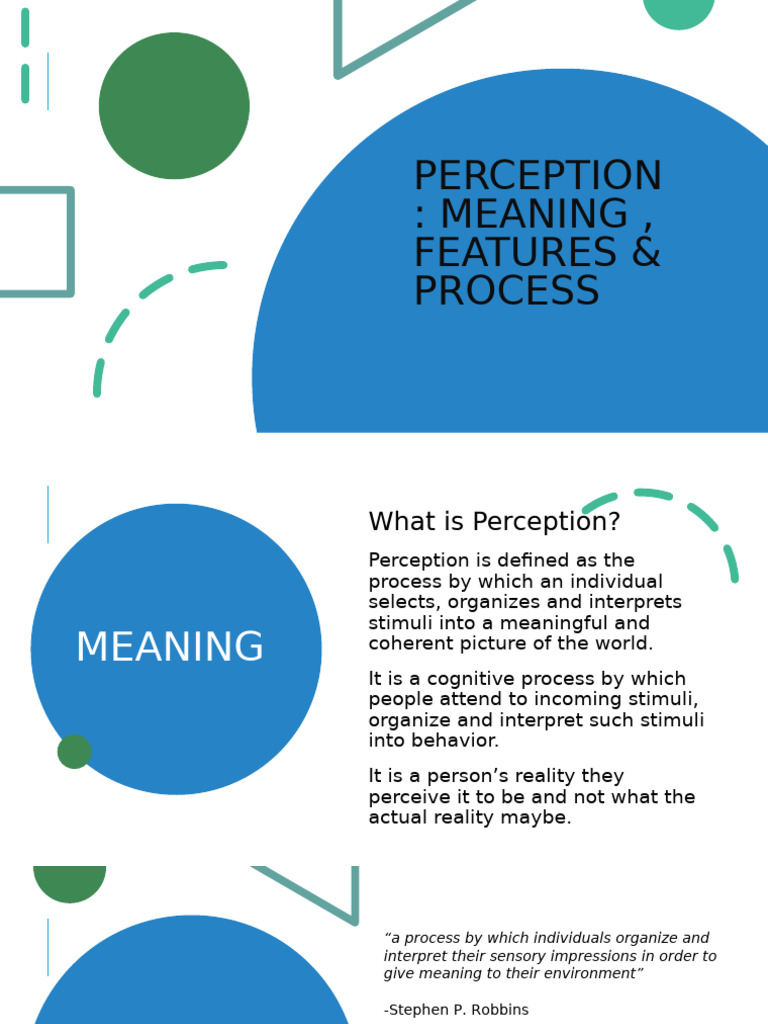 PERCEPTION | PDF