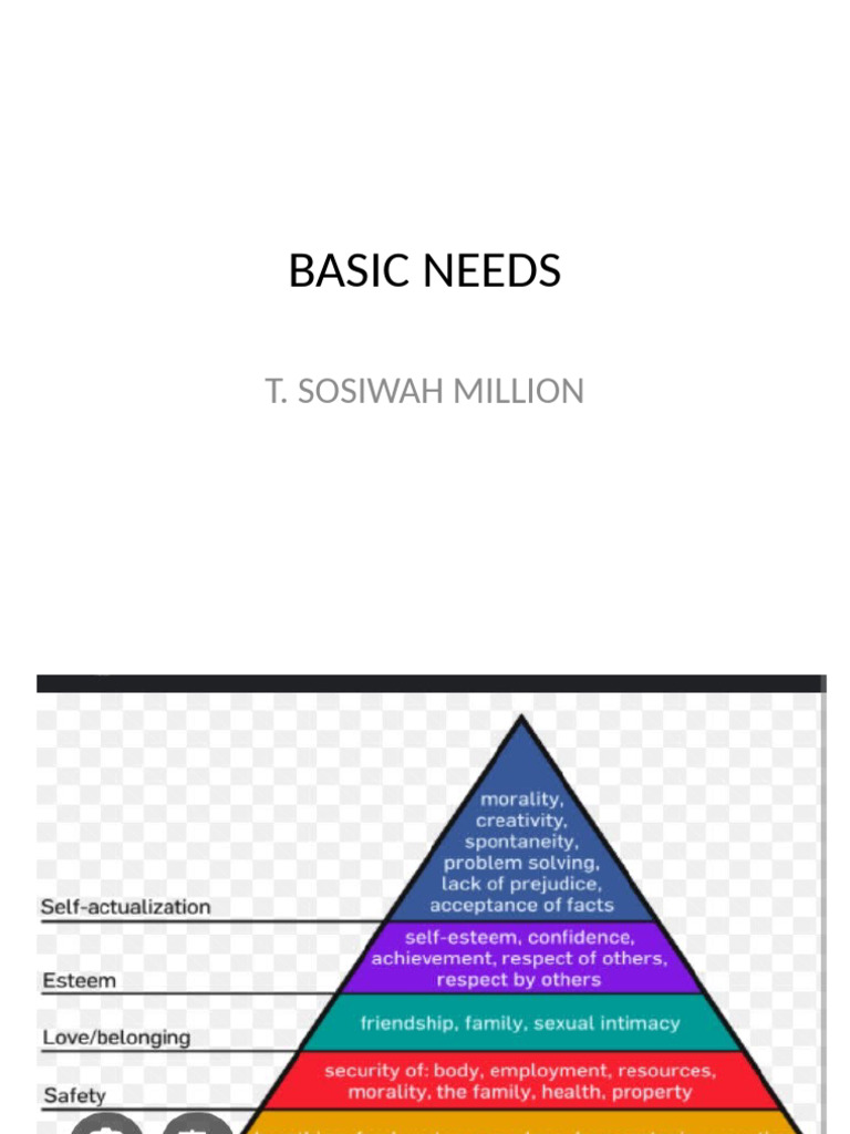 Basic Needs | PDF