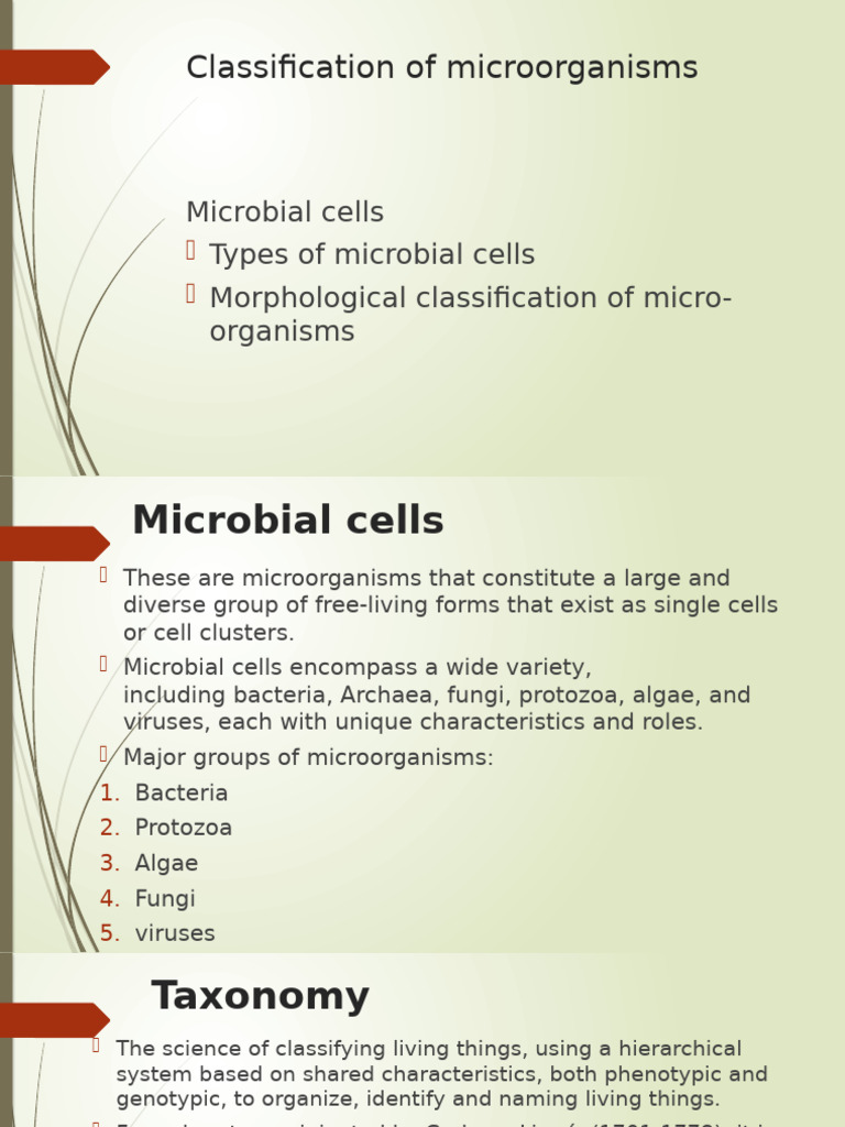 Classification of Microorganisms | PDF | Virus | Staining
