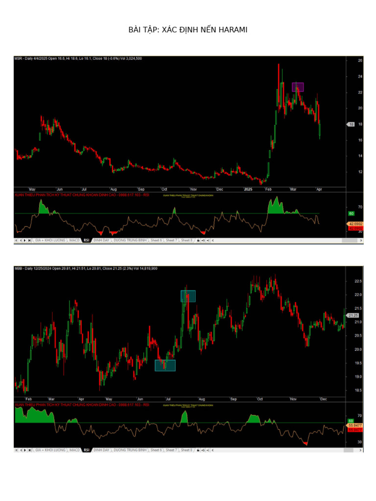 BT Nến HARAMI | PDF