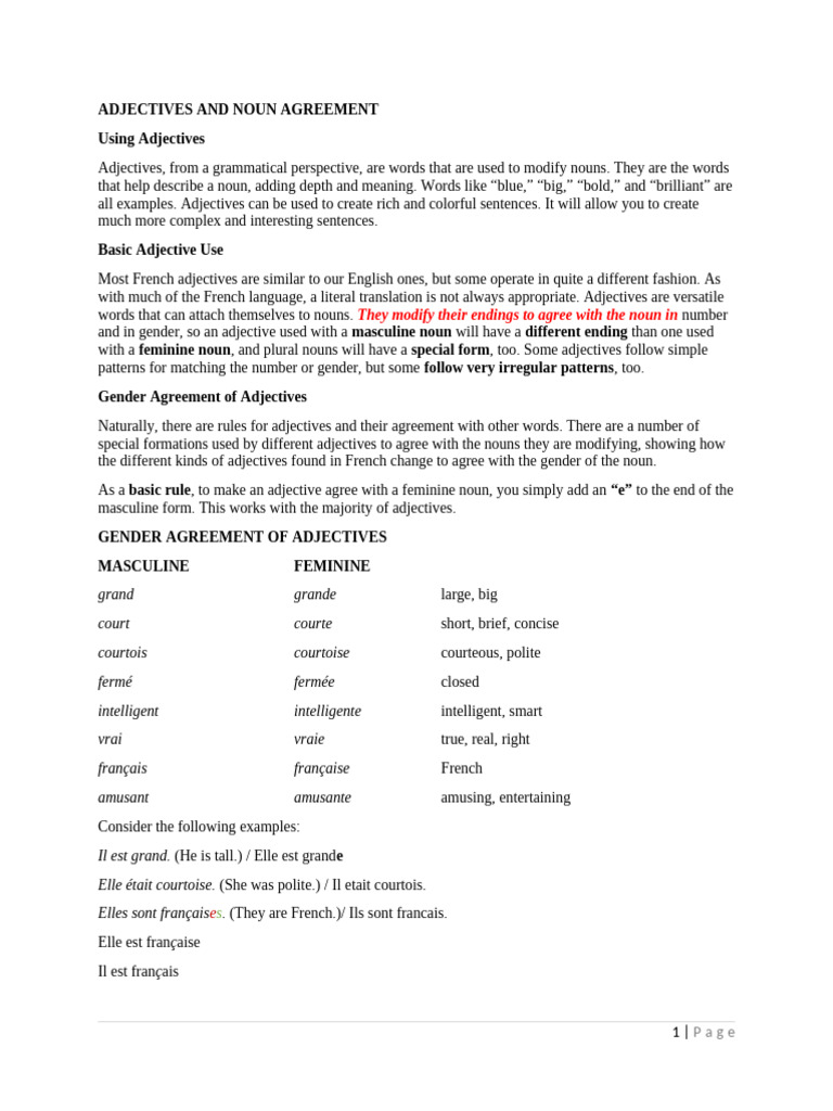 French Adjective-Noun Agreement Guide | PDF | Grammatical Gender ...