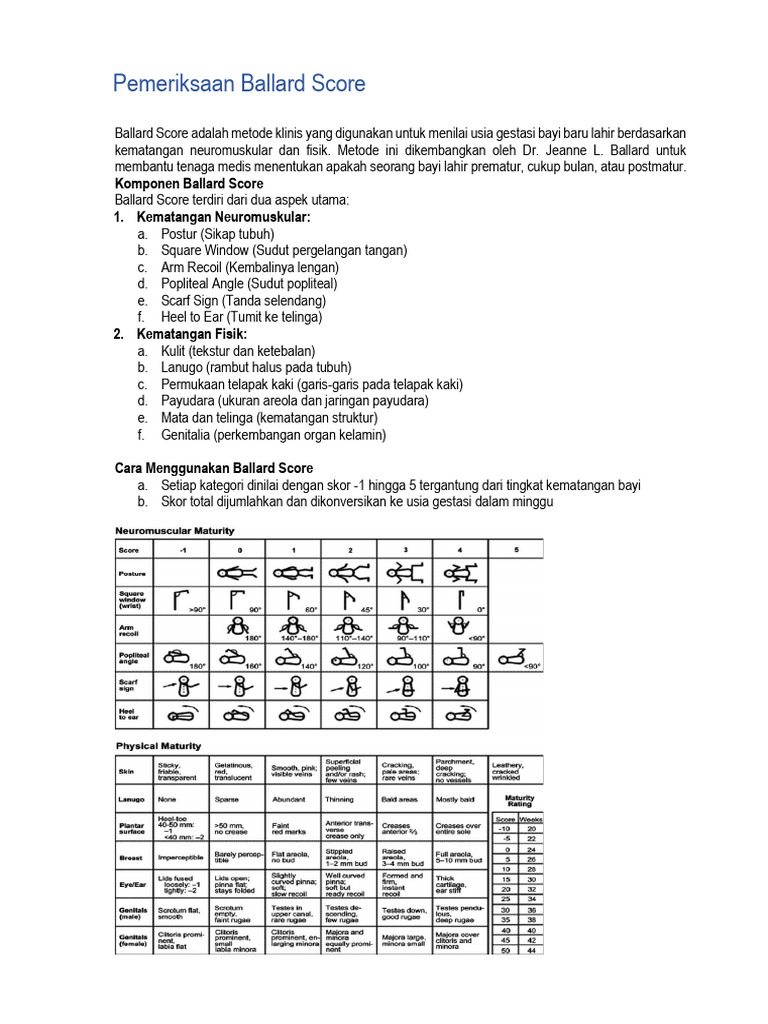 Pemeriksaan Ballard Score & Ikterus 25 | PDF