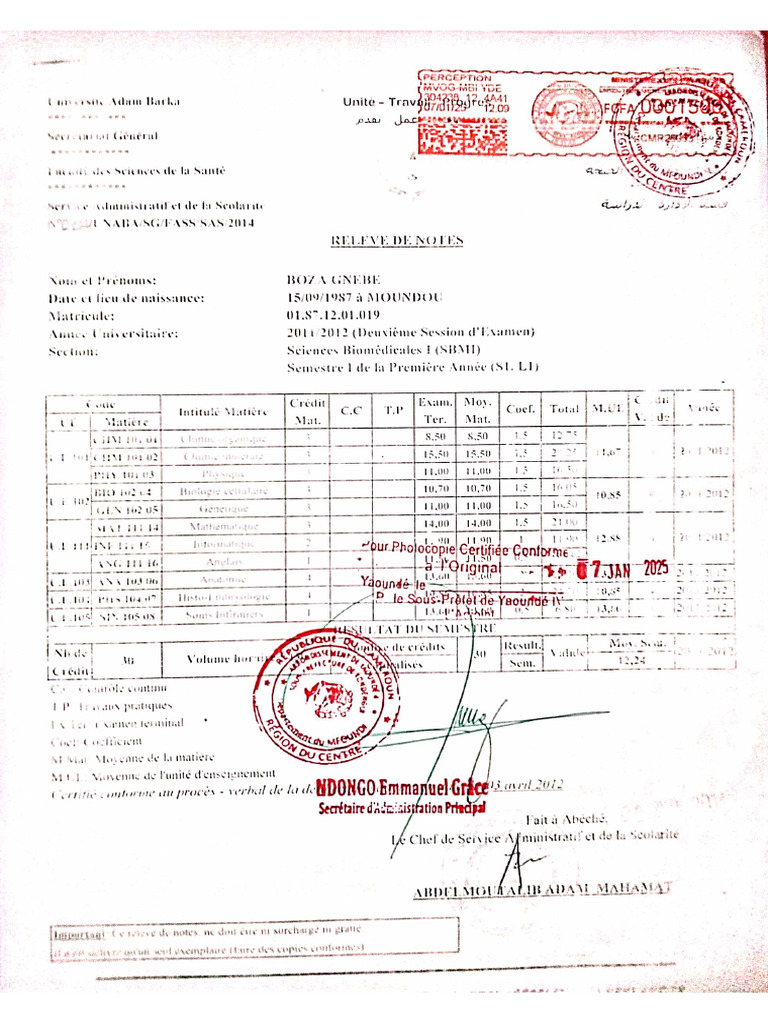 A.Relevé S1 LI | PDF