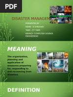 Disaster Management Poster | PDF
