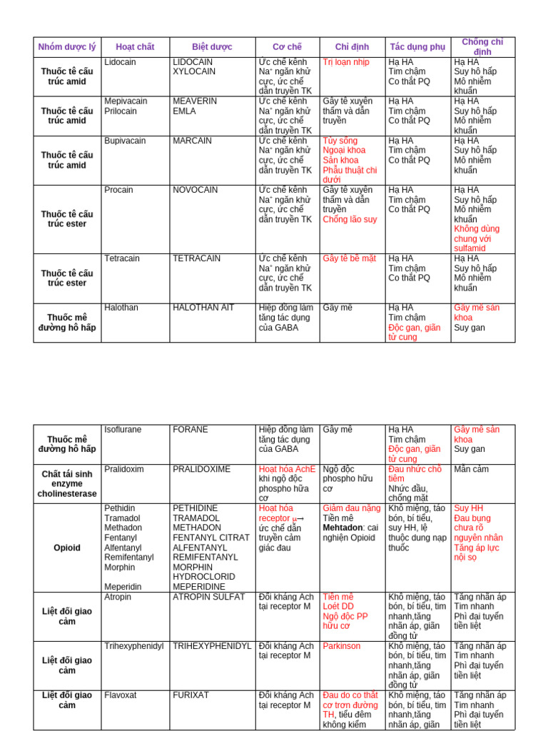 Bài Soạn DL1-TH | PDF