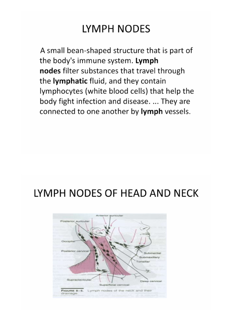 Lymph Nodes | PDF