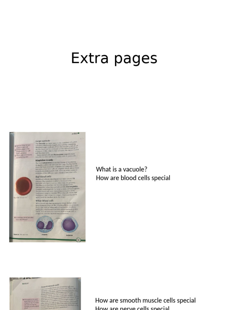 Extra Pages | PDF