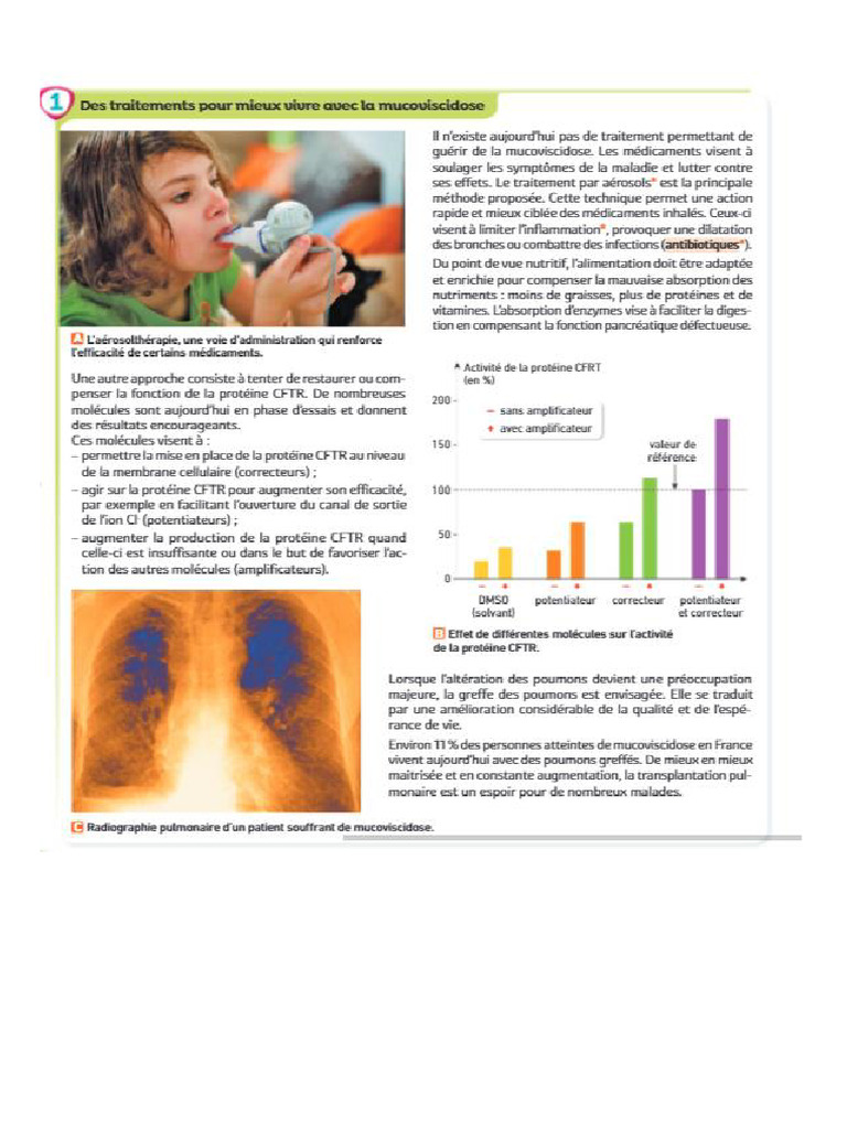 2022 Activit 2 Muco Doc | PDF