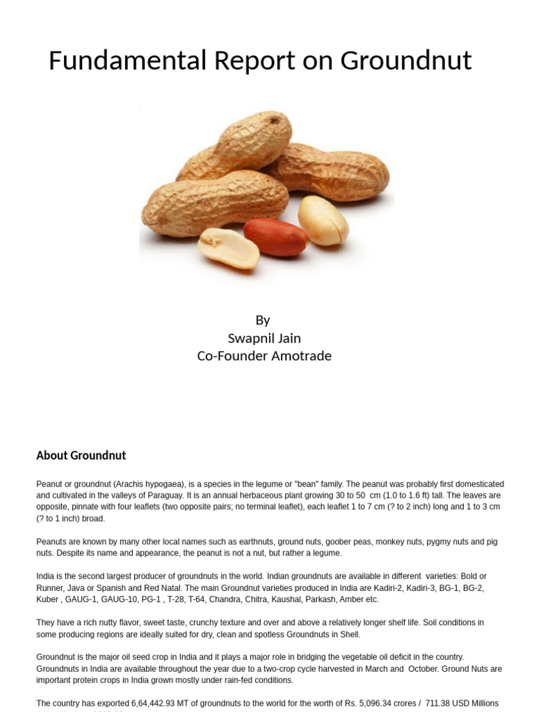 Amotrade's Report On Groundnut | PDF | Peanuts | Food Ingredients